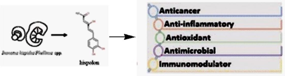 Caribbean Journal of Sciences and Technology